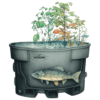 Home - Urban Fish Farmer