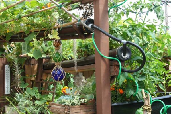 Backyard Ebb & Flow Aquaponic System - Urban Fish Farmer