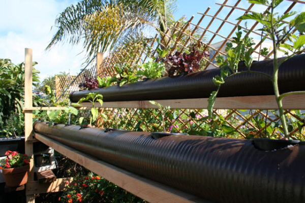 Aquaponics Technology: Nutrient Film Technique (NFT) - Urban Fish Farmer